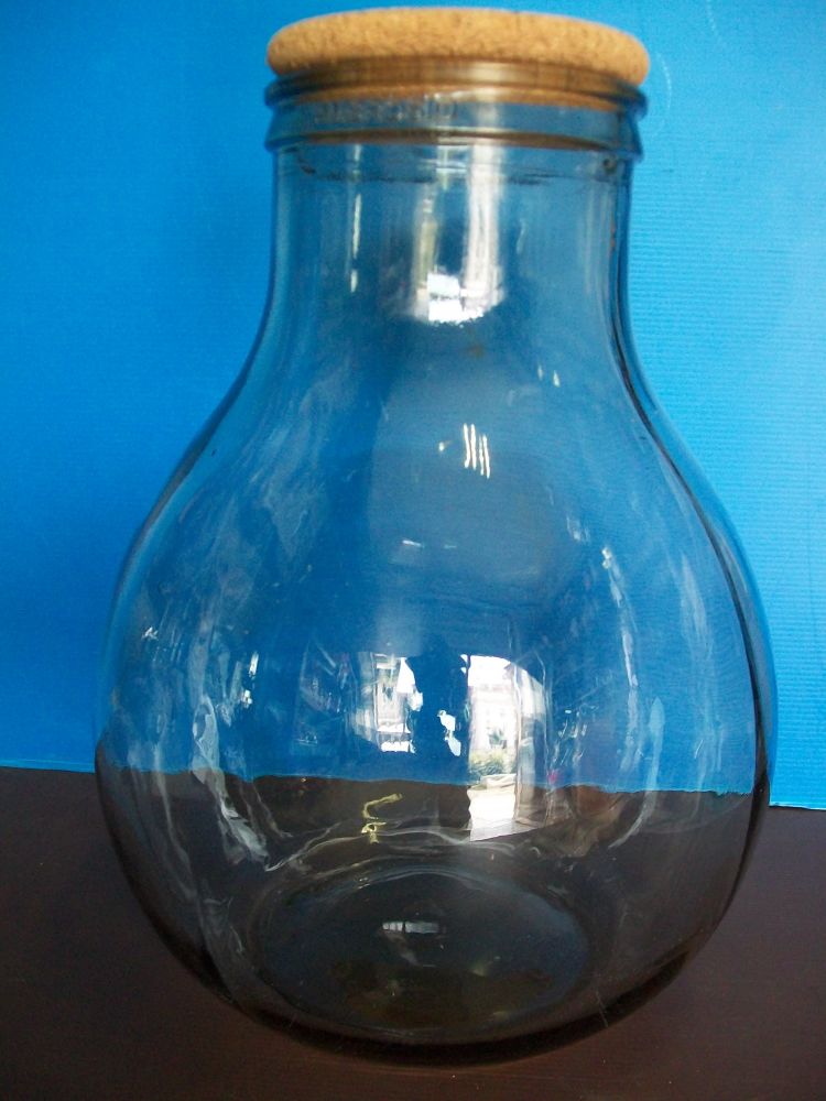 Vaso Vetro Litri 20 Enotecnica Albese Enologia Apicoltura Agricoltura